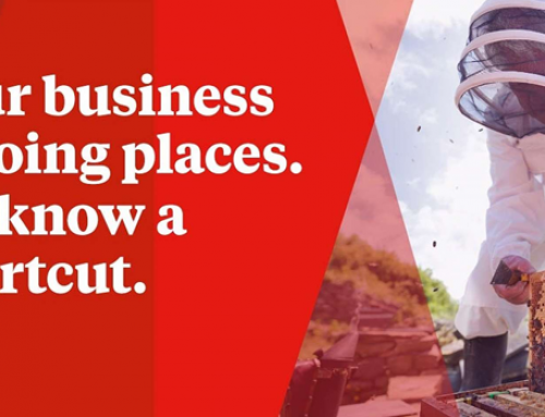 The Future is Here – Poutama Trust